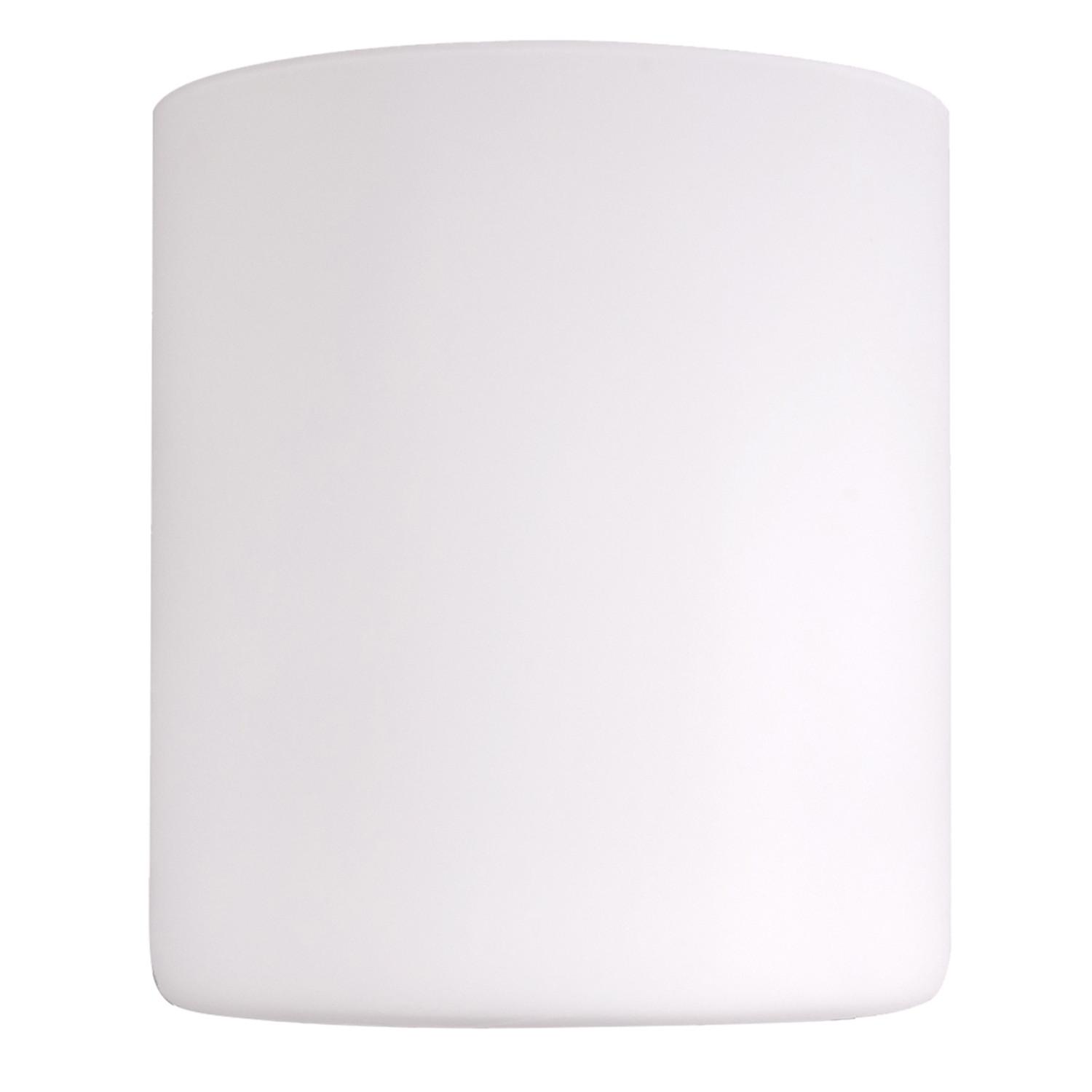 Aubrey Replacement Light Shade| Lighting & Ceiling Fans | Today's ...