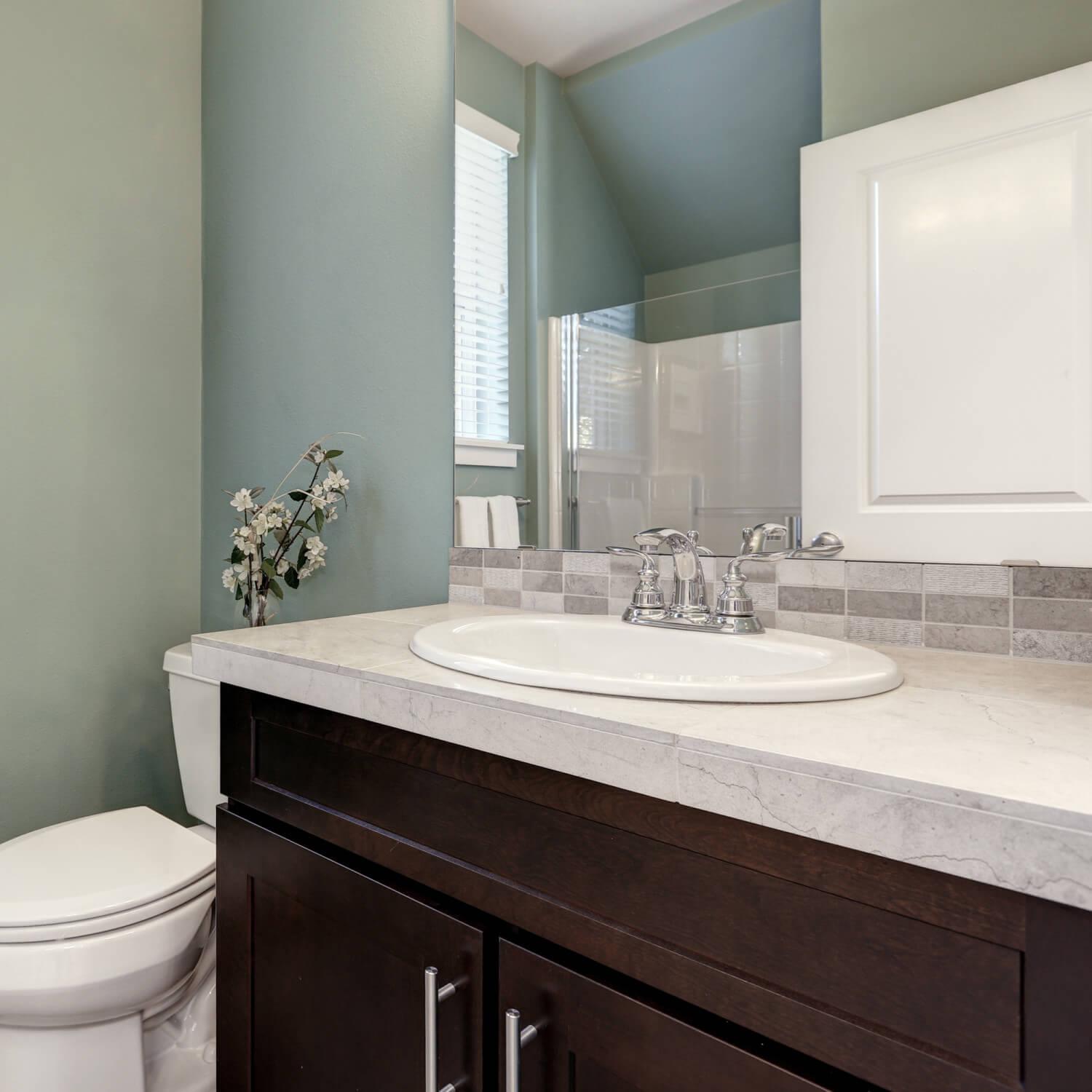 Oval Drop In Sink Single Basin White | Bath | Today's Design House